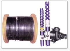 Daman Wires & Cables